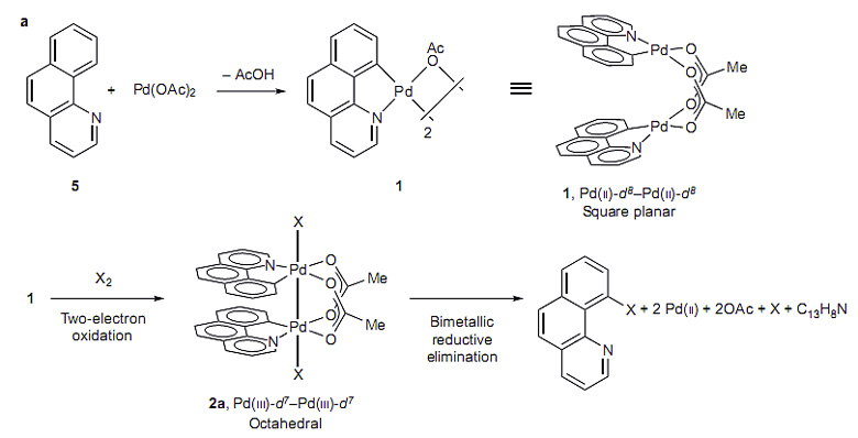 有机氟化学家Tobias Ritter教授与他的Nature、Nature Chem.- X-MOL资讯