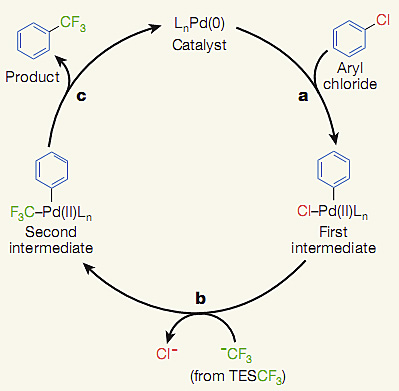 有机氟化学家Tobias Ritter教授与他的Nature、Nature Chem.- X-MOL资讯