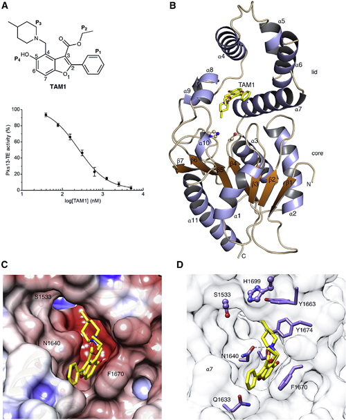 震惊！Cell杂志惊现化学类文章- X-MOL资讯