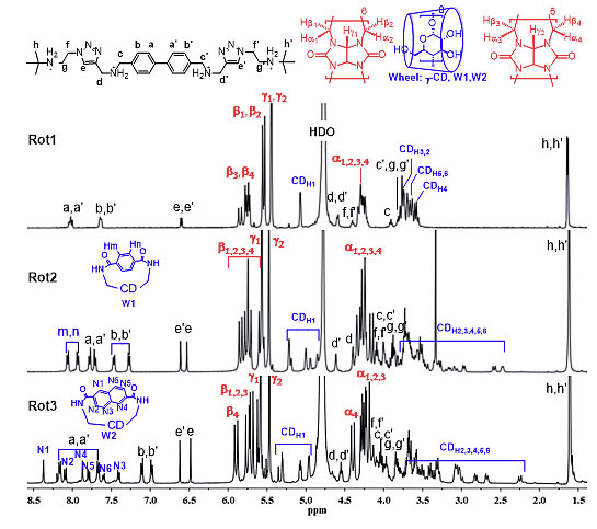 构筑[4]轮烷新型手性空腔应用于手性光异构化反应- X-MOL资讯
