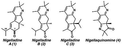 JACS：首次不对称全合成Nigelladine A- X-MOL资讯