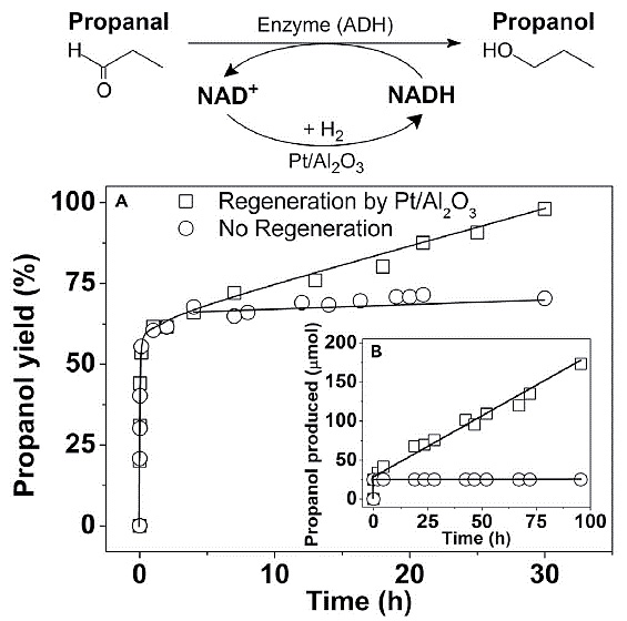 基于非均相化学催化法再生辅酶NAD(P)H- X-MOL资讯