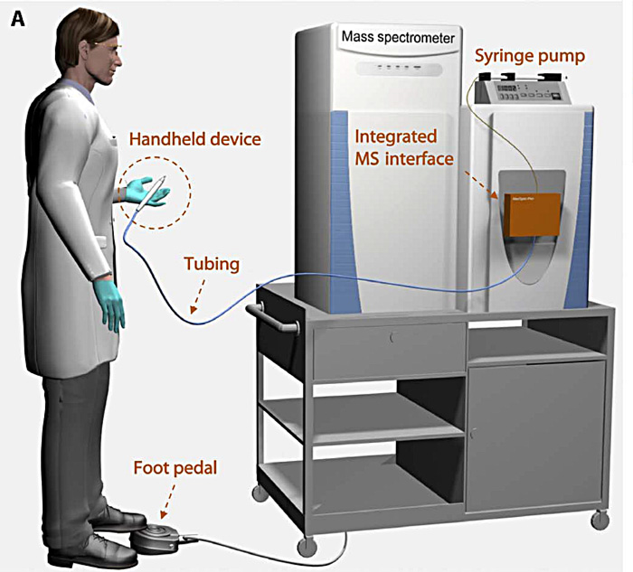刷脸解锁算什么，扫肉诊瘤才是黑科技！- X-MOL资讯