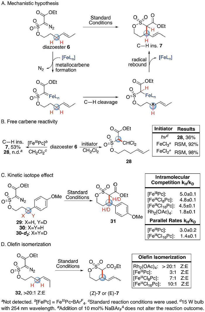 Christina White教授组JACS：铁卡宾参与的C(sp3)-H键烷基化- X-MOL资讯