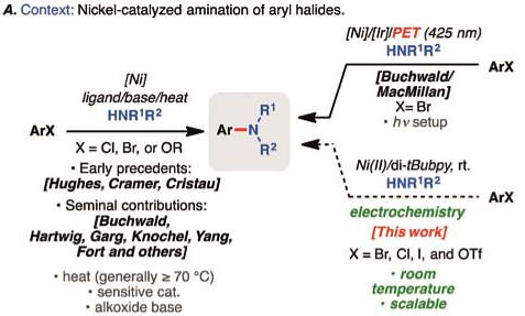 Baran组Angew：电化学参与的Ni催化芳基C-N键偶联反应- X-MOL资讯