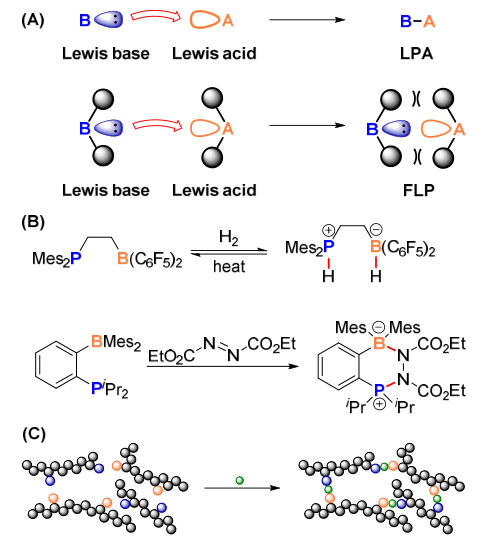 FLP“跨界”高分子领域，JACS报道热响应性自愈凝胶- X-MOL资讯