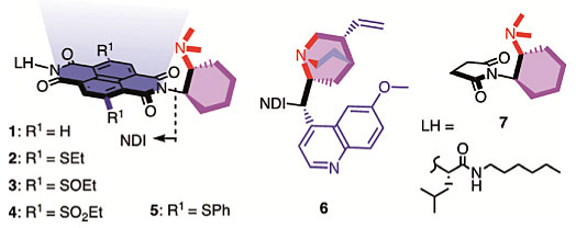 Stefan Matile课题组Angew：阴离子-π催化作用的Diels-Alder反应- X-MOL资讯