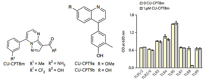 清华尹航团队Nature子刊：牢牢“锁住”TLR8的小分子抑制剂- X-MOL资讯
