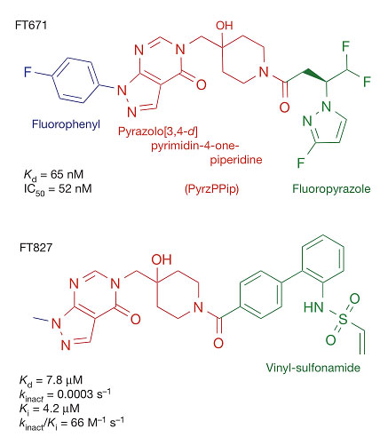 朋友的敌人的朋友？Nature报道“曲线抗癌”的USP7小分子抑制剂- X-MOL资讯
