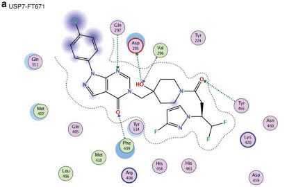 朋友的敌人的朋友？Nature报道“曲线抗癌”的USP7小分子抑制剂- X-MOL资讯