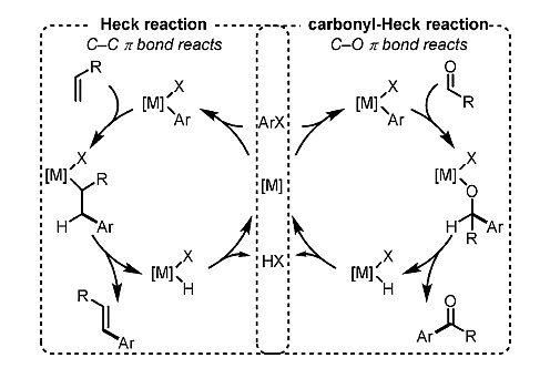Ni催化的羰基型Heck反应- X-MOL资讯