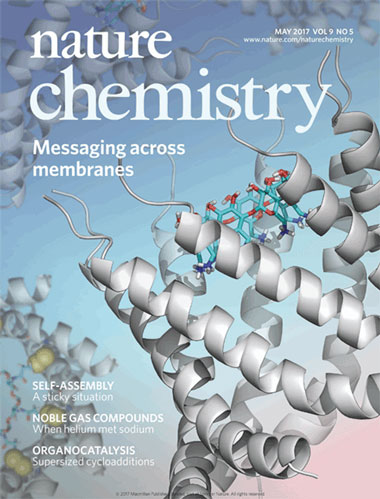 12期封面，带你回顾Nature Chemistry的2017- X-MOL资讯
