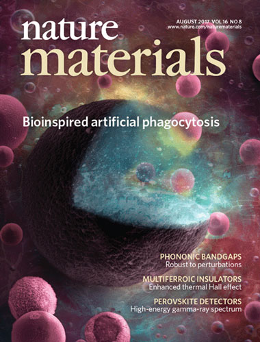 12期封面，带你回顾Nature Materials的2017- X-MOL资讯