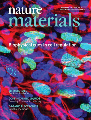12期封面，带你回顾Nature Materials的2017- X-MOL资讯