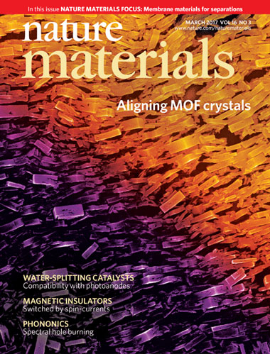 12期封面，带你回顾Nature Materials的2017- X-MOL资讯