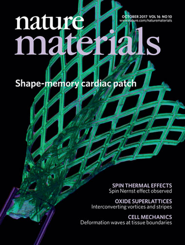 12期封面，带你回顾Nature Materials的2017- X-MOL资讯