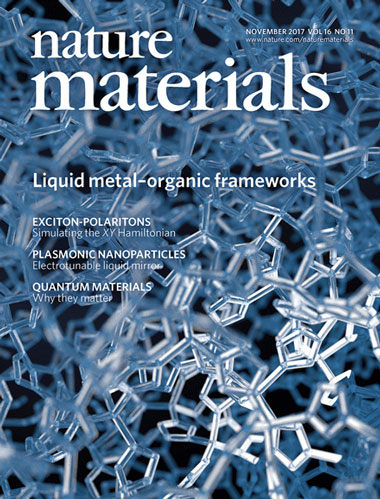 12期封面，带你回顾Nature Materials的2017- X-MOL资讯