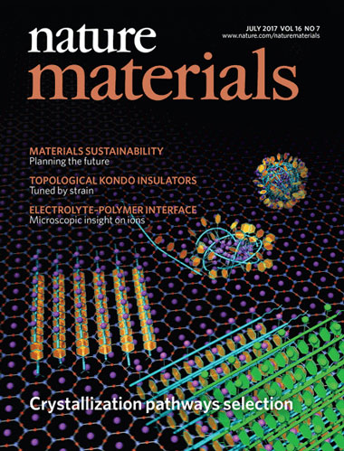 12期封面，带你回顾Nature Materials的2017- X-MOL资讯