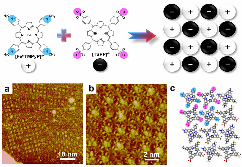 离子相互作用驱动的表界面双组分组装结构构筑- X-MOL资讯