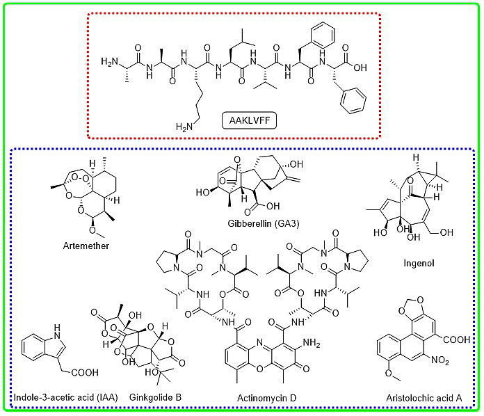 中南民族大学在有机小分子结构测定方法上取得进展- X-MOL资讯