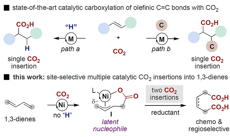 JACS：Ni催化CO2对1,3-二烯的选择性双羧基化反应- X-MOL资讯
