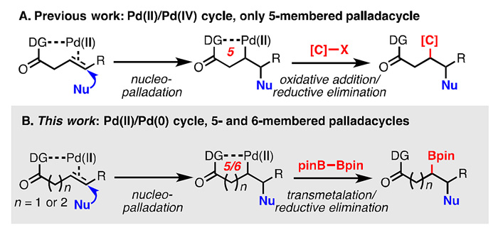 帅哥化学家Engle组JACS：Pd催化烯烃的碳硼化和胺硼化反应- X-MOL资讯