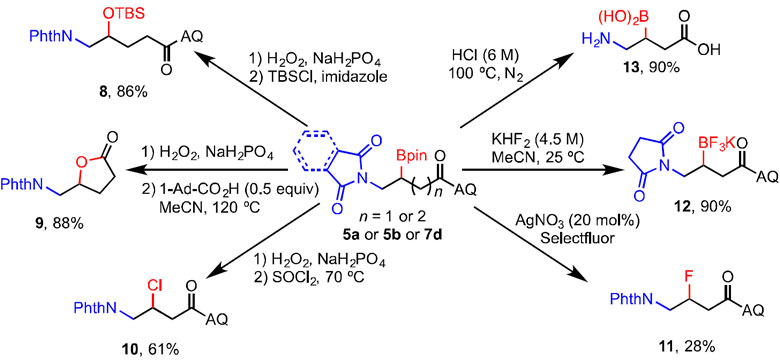 帅哥化学家Engle组JACS：Pd催化烯烃的碳硼化和胺硼化反应- X-MOL资讯