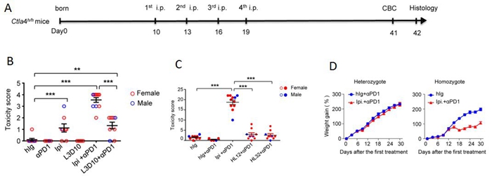过去的理论又错了，两篇研究长文报道CTLA-4抗体在肿瘤免疫治疗中的新机制新模型- X-MOL资讯