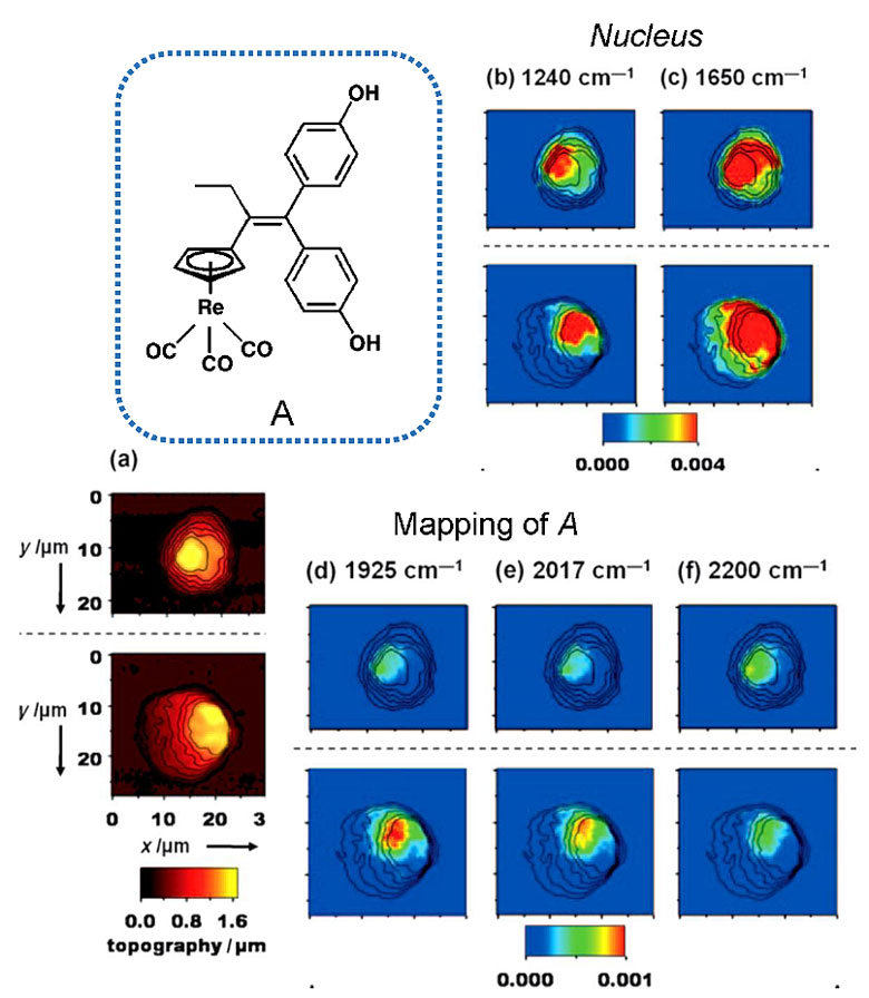 纳米尺度下的化学表征：AFM-IR- X-MOL资讯