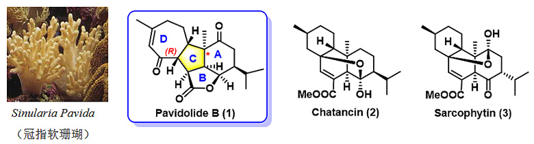 (−)-Pavidolide B的首例不对称全合成研究- X-MOL资讯