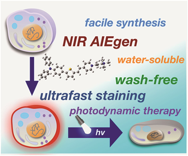 唐本忠院士团队：水溶性 AIEgen 用于生物成像与光动力治疗- X-MOL资讯