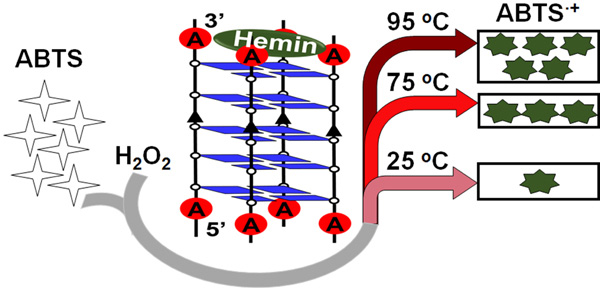 鞠熀先教授课题组发现一种嗜热型高活性DNA酶- X-MOL资讯