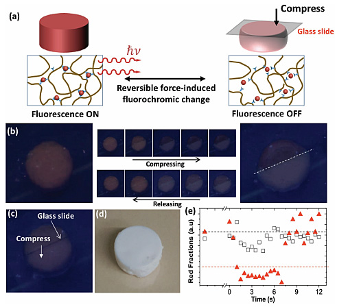Eu-IDA动态配位调控聚合物水凝胶的多重荧光色彩响应- X-MOL资讯