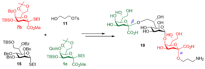 Kdo糖苷键的立体选择性合成- X-MOL资讯