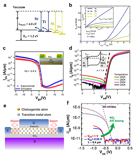 陈伟和倪振华课题组合作发表Chem. Soc. Rev.综述——二维过渡金属硫族化合物：界面和缺陷工程- X-MOL资讯