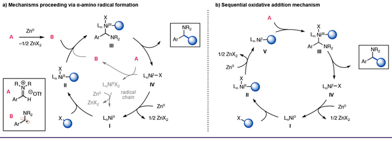 Abigail Doyle组JACS：镍催化的三组分还原胺化反应- X-MOL资讯