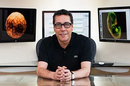 《自然》重磅：人何以为人？跨越百年时光、伦理界限，科学家终证实，人类胚胎中存在调控胚胎发育的“组织者”细胞- X-MOL资讯