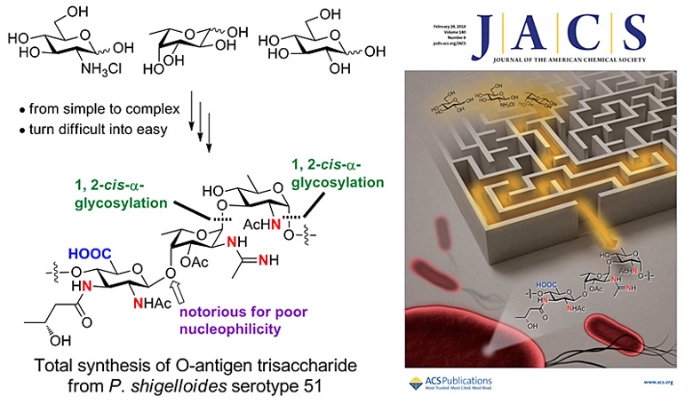 JACS封面：基于多氨基正交保护策略的复杂氨基糖的全合成- X-MOL资讯