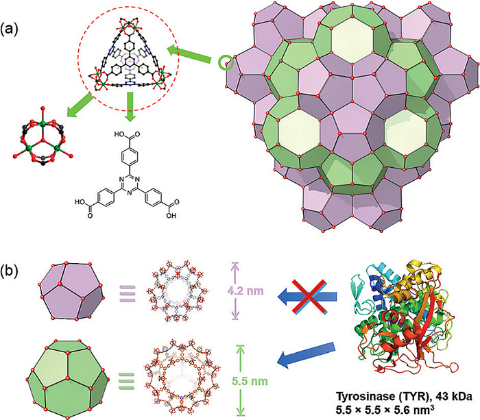 止疼药变抗癌药——载酶MOF纳米反应器治疗癌症- X-MOL资讯