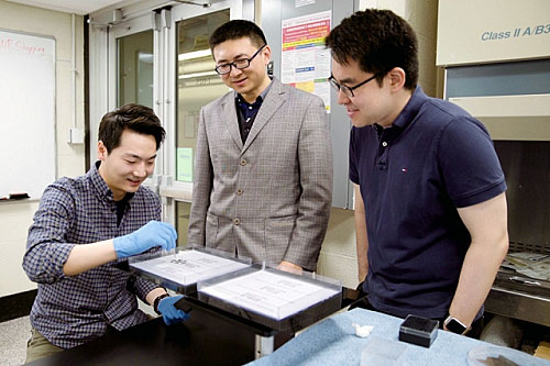 从“小时候的游戏”到Nature封面：磁场响应材料- X-MOL资讯