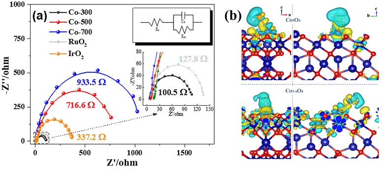 金属缺陷调控：Co3-xO4的设计、合成及OER应用- X-MOL资讯