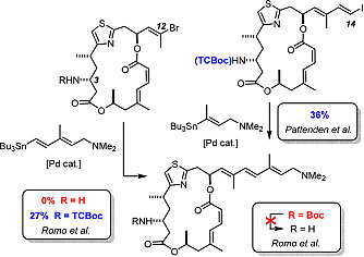 Pateamine A 及DMDA-Pat A的催化不对称全合成- X-MOL资讯