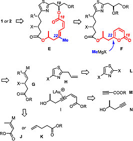 Pateamine A 及DMDA-Pat A的催化不对称全合成- X-MOL资讯