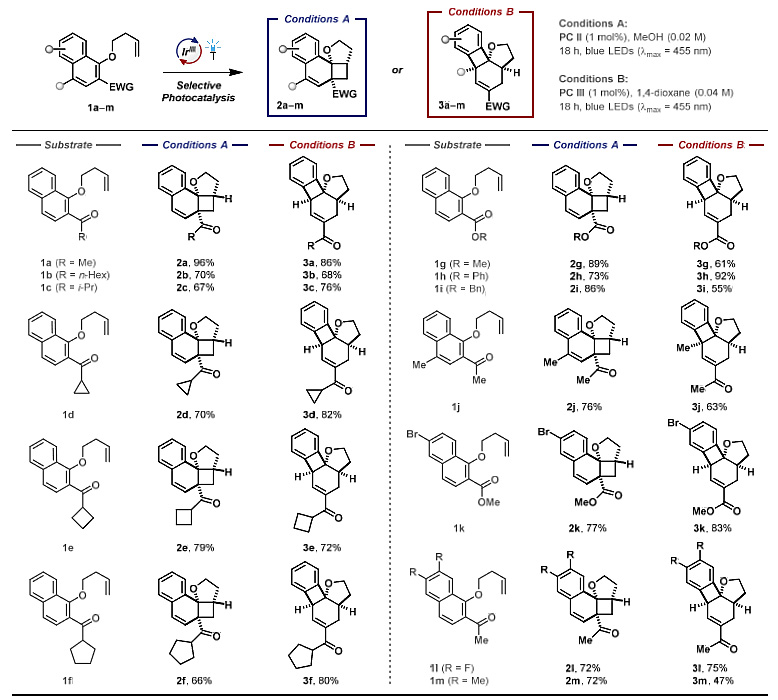 Frank Glorius课题组JACS：去芳构化串联的光氧化还原催化反应- X-MOL资讯